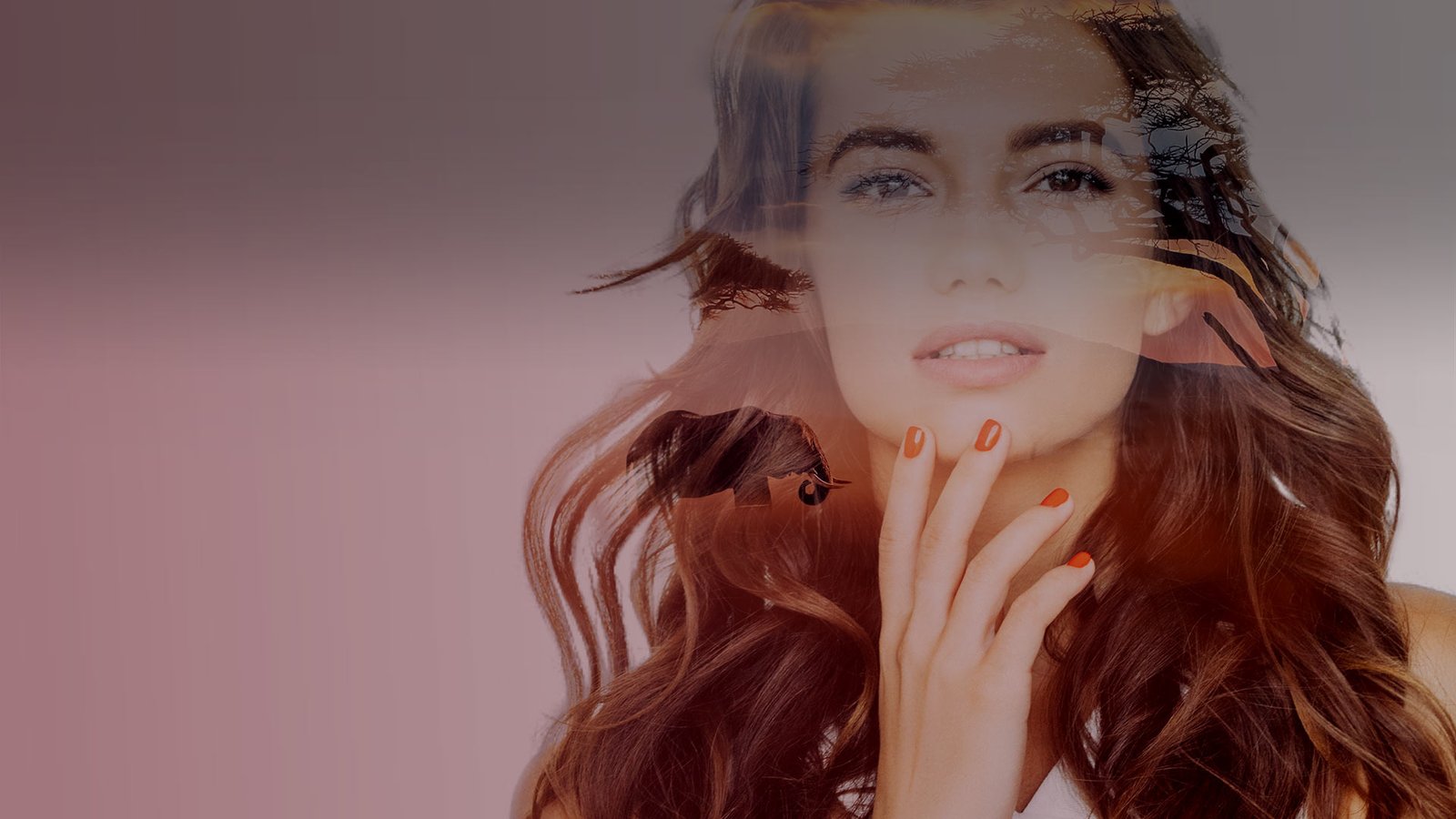 All AFRICAN Andaras – Andara Lovers